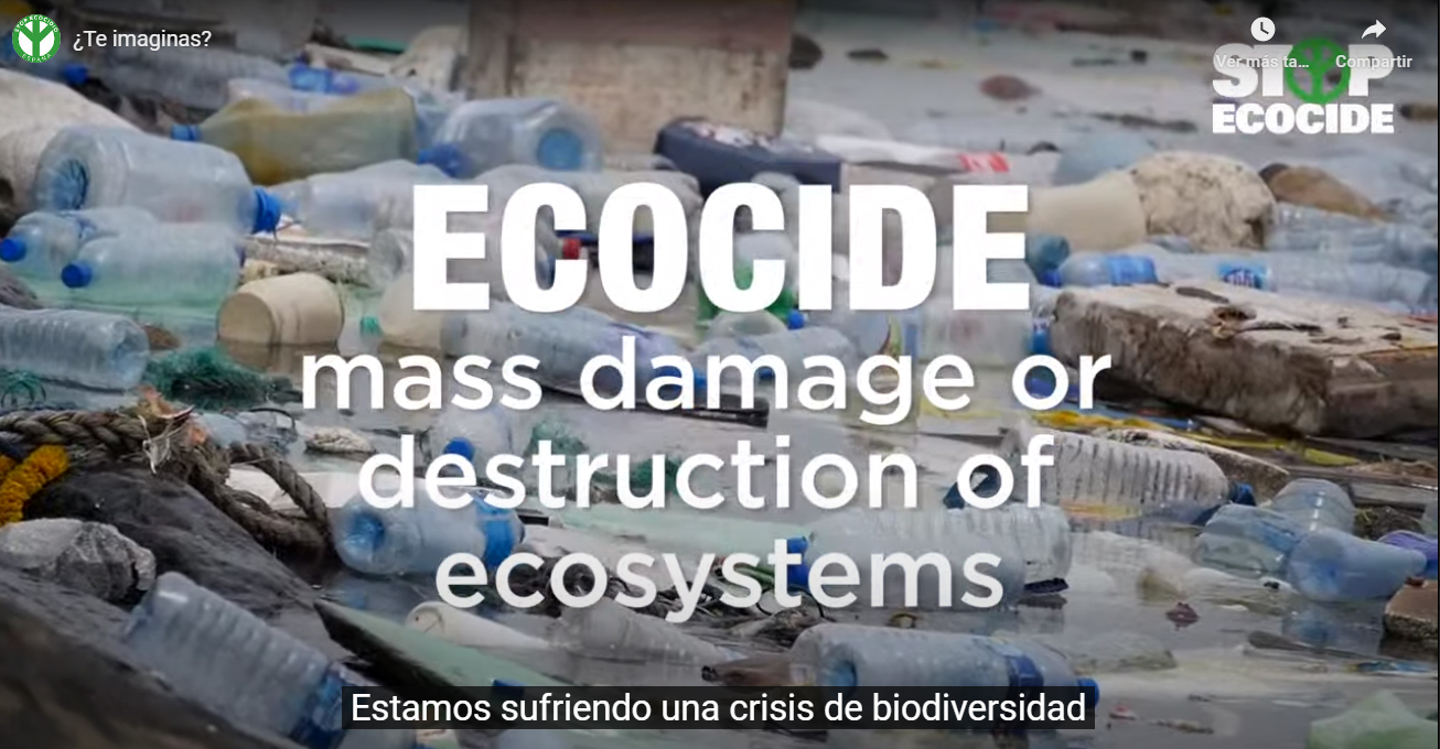 Reconocidos juristas internacionales redactarán la definición de ...